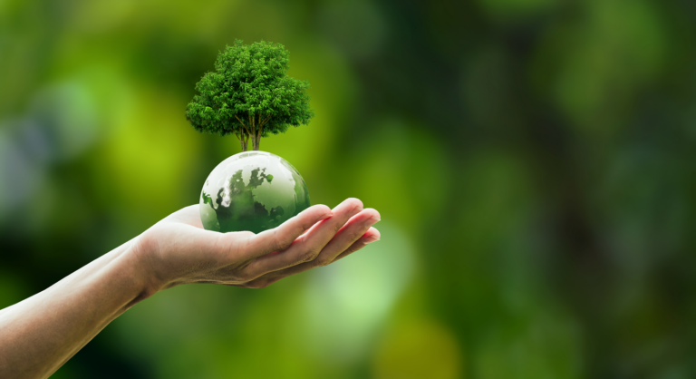 Carbon Offsets Strategy