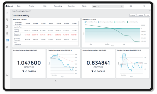 Reval Treasury Software: Elevate Your Treasury Operations